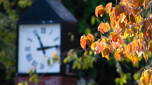 ADEA DHCAS® Program Finder