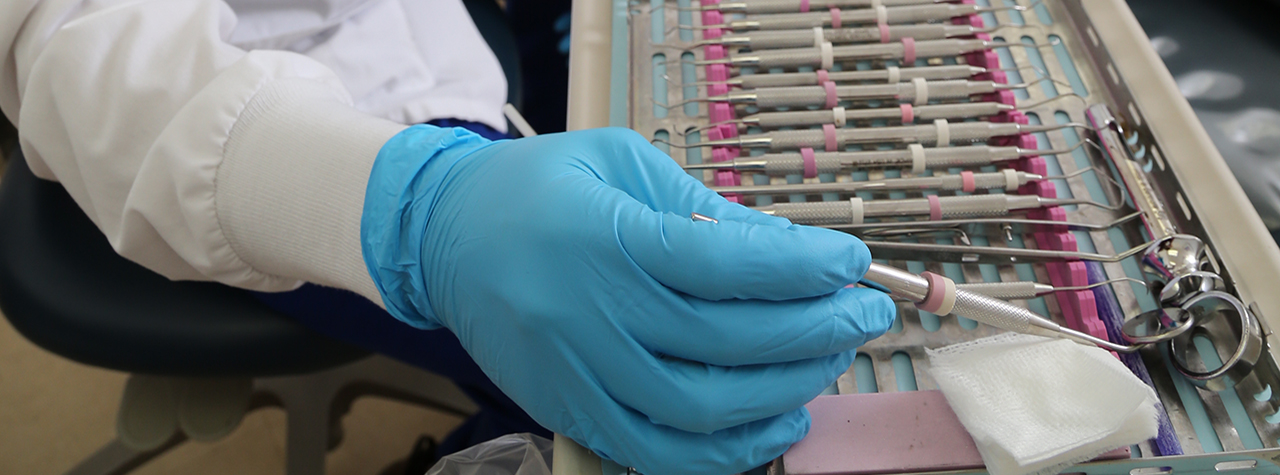 ADEA DHCAS® Program Finder