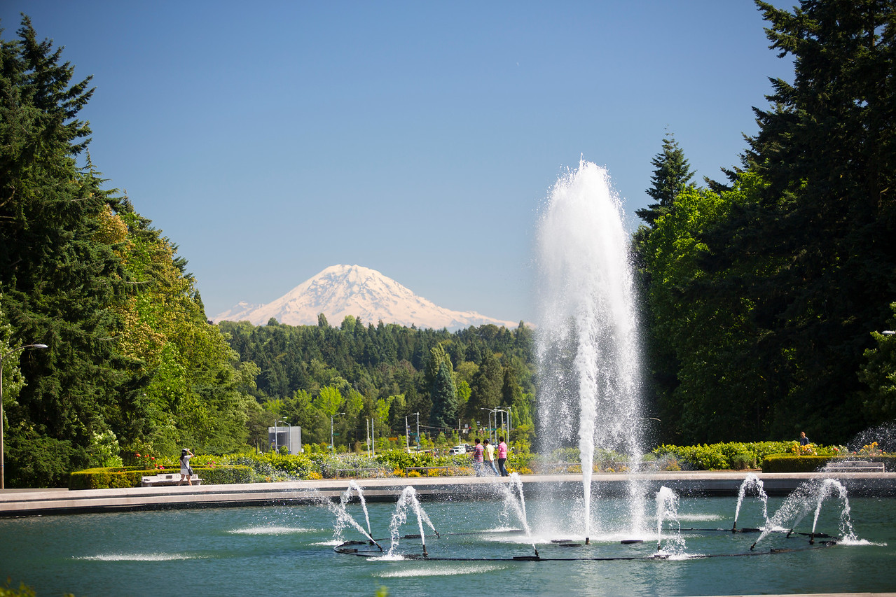 University of Washington School of Dentistry - ADEA CAAPID® Program